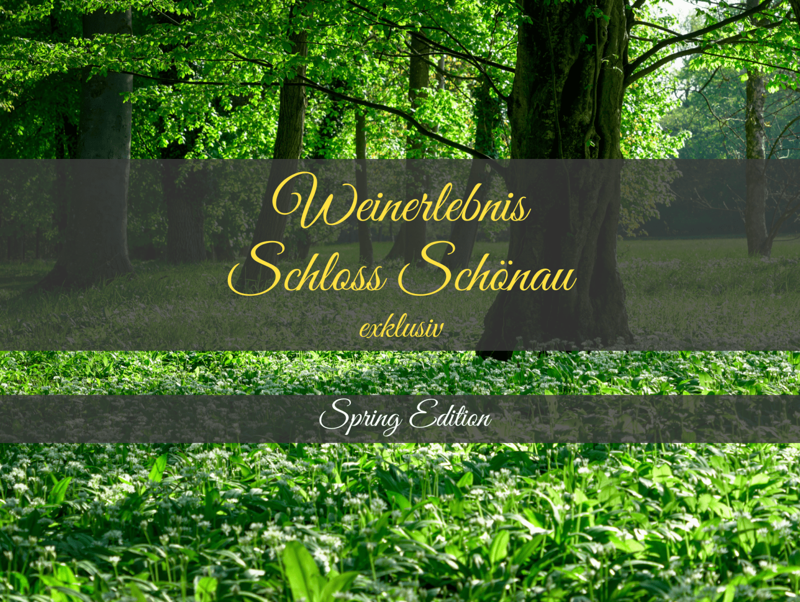 Weinerlebnis „Schloss Schönau exklusiv“ Spring Edition Limited ...